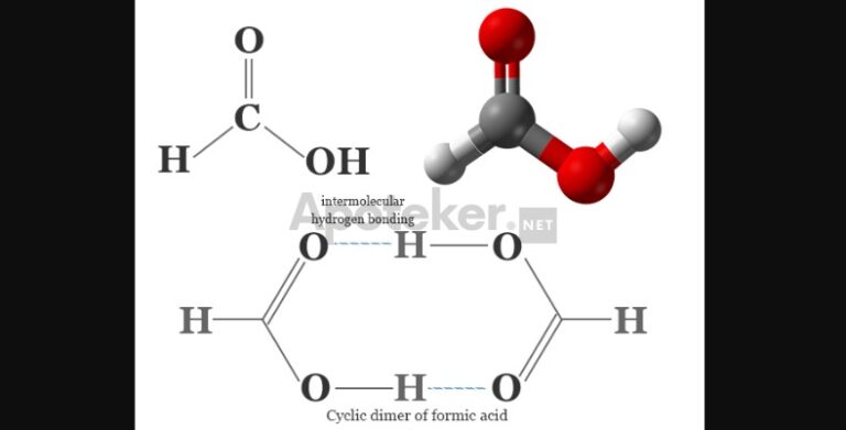 Mengenal Asam Semut (Asam Format / Formic Acid)